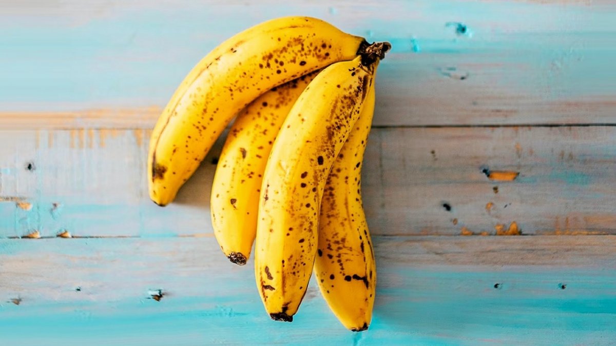 La Academia en Tarde Abierta. El plátano | ORM