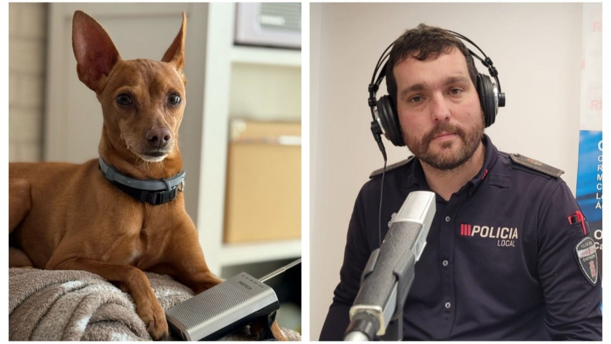 Agente Amigo. La experiencia del apagón | ORM