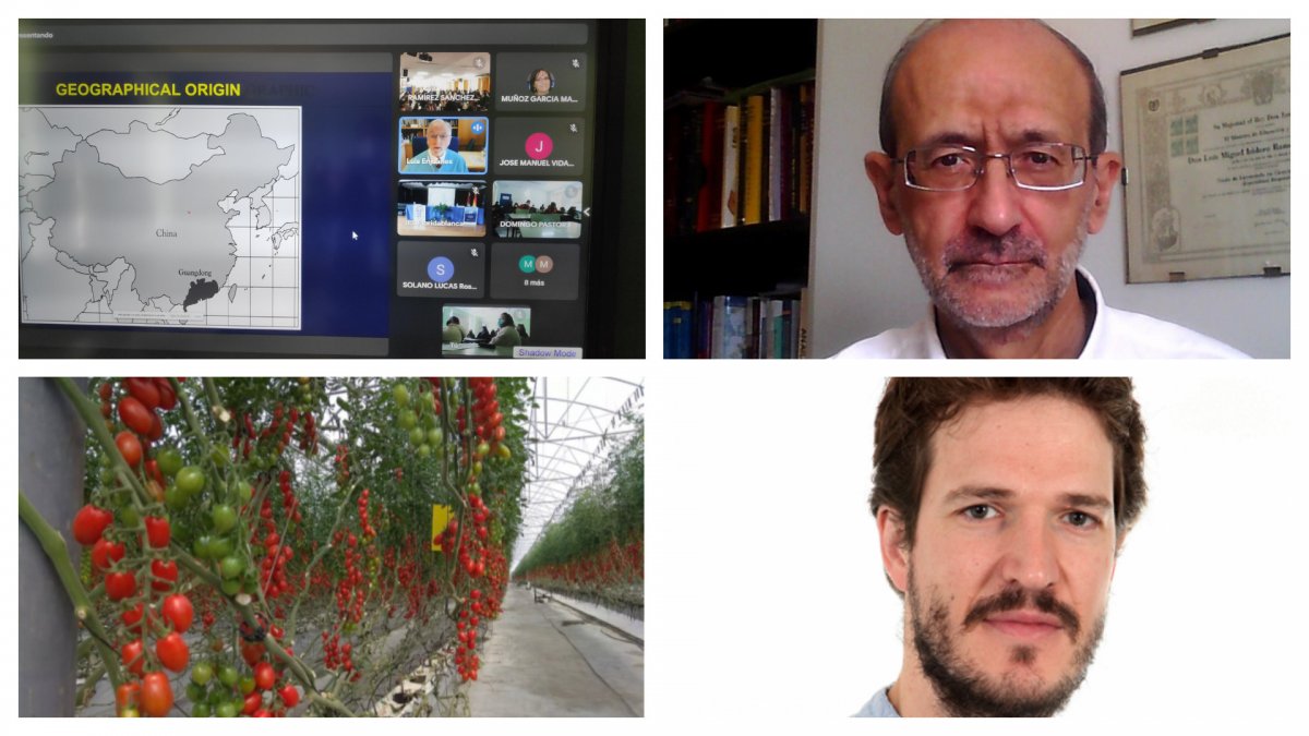 REACCIÓN EN CADENA. #105 | ORM