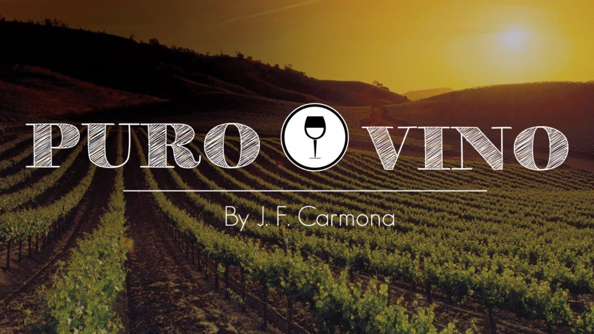 MIRADOR. Puro vino: crianza en bodega | ORM