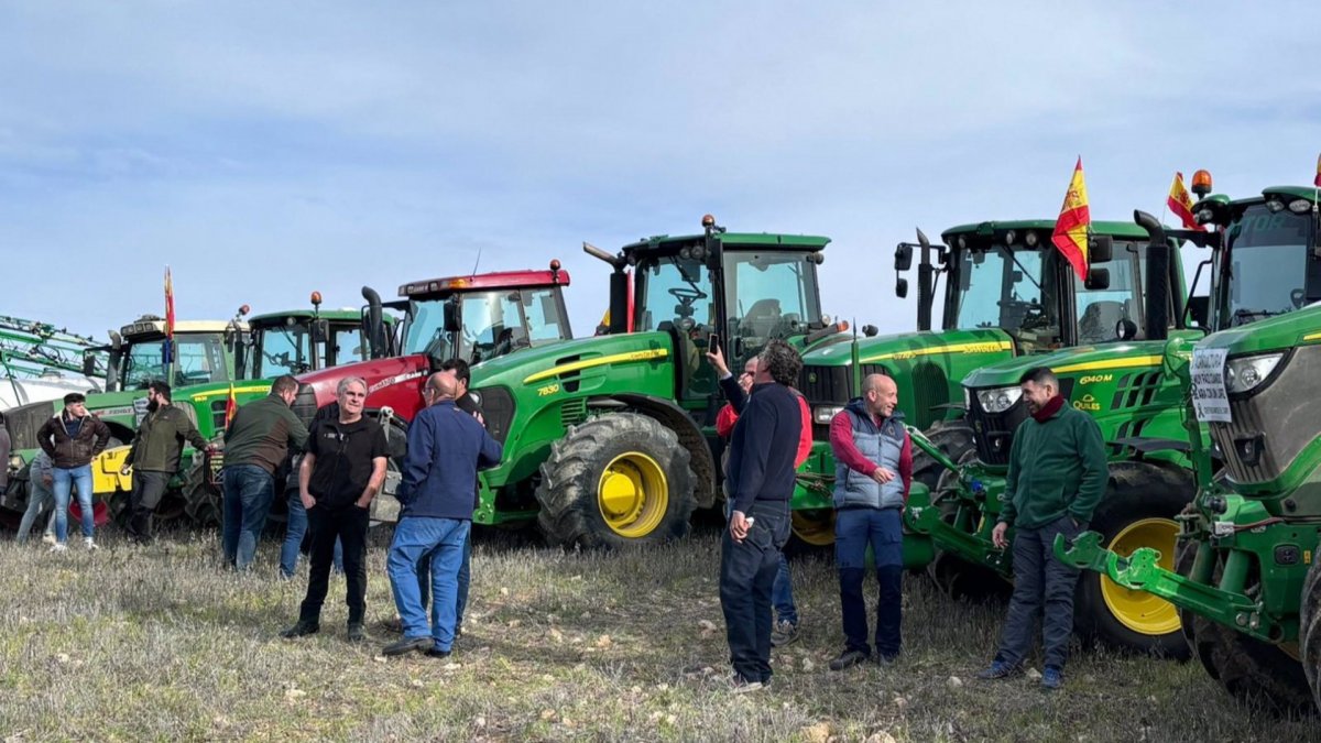 "Hay un maremágnum de leyes para el campo" | ORM