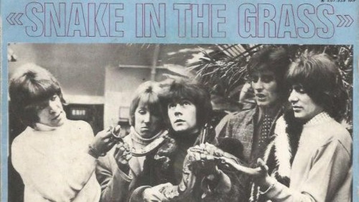 Hay una serpiente en mi bota | ORM