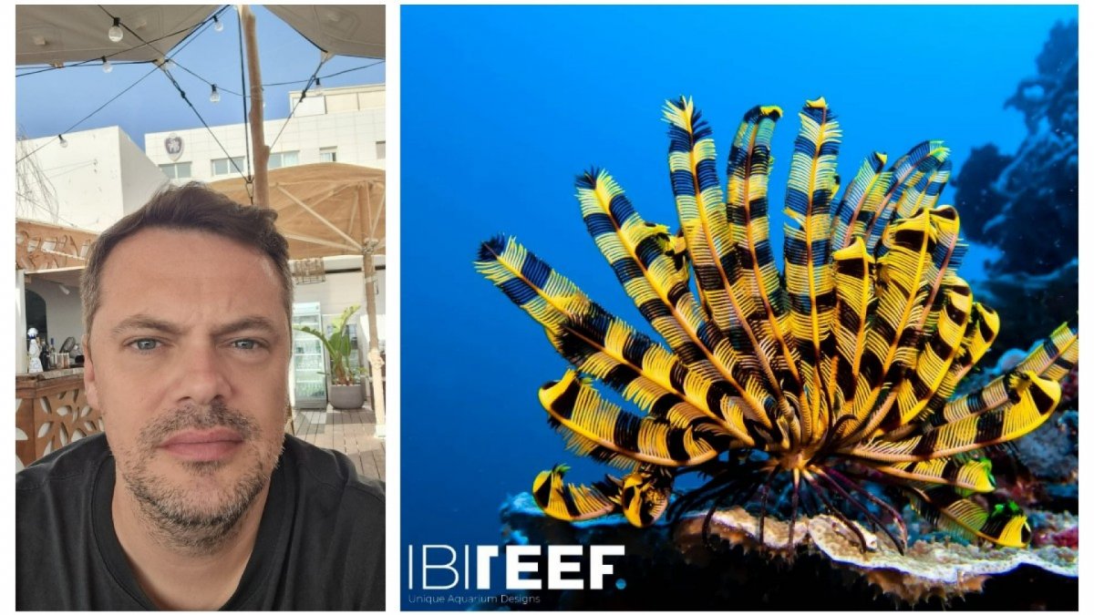 Los ICUES de CORI. IBIREEF, acuarios llenos de vida | ORM