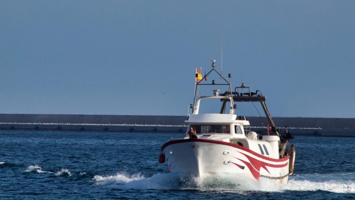 José Blaya: «La reducción en el número de jornadas para faenar es ...