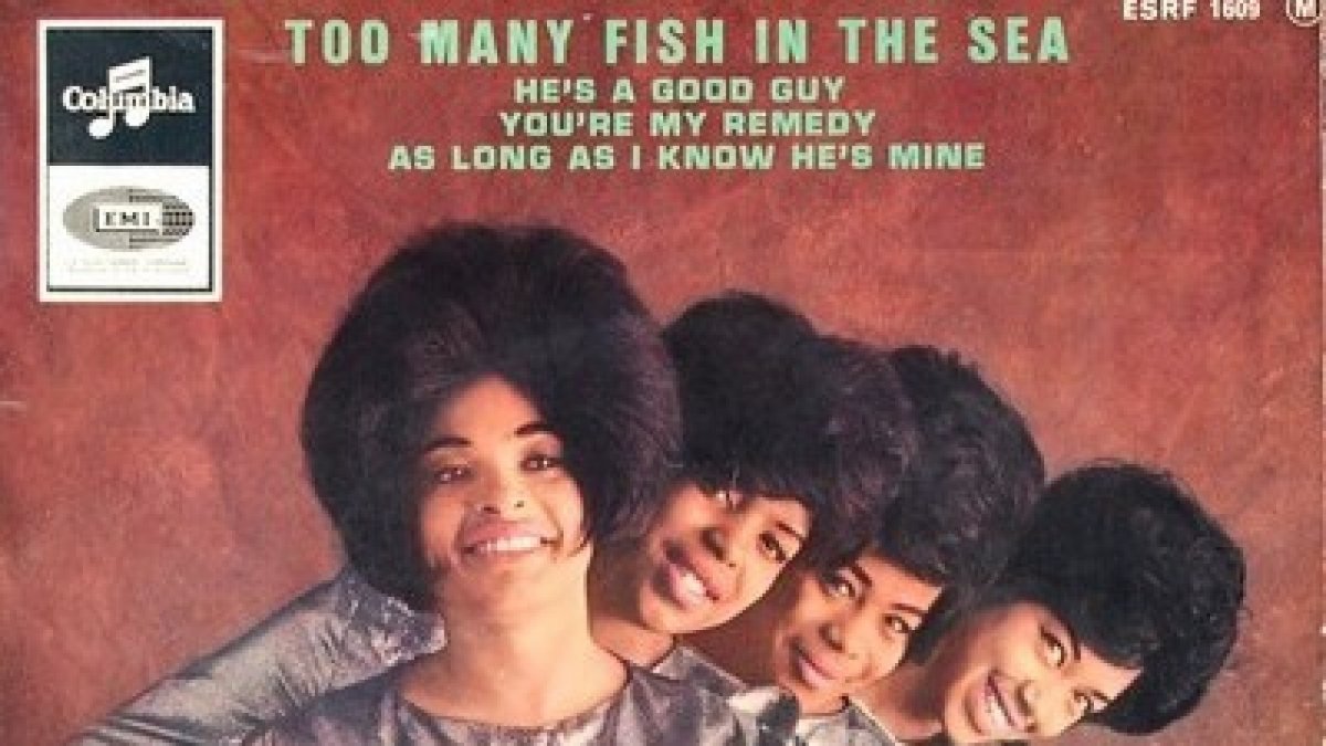 Peces de ciudad | ORM