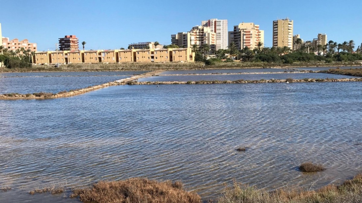 Las Salinas de Marchamalo, declaradas BIC con categoría de sitio ...
