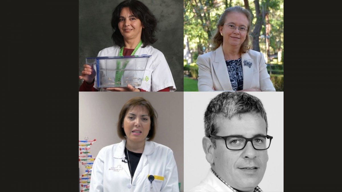 REACCIÓN EN CADENA: Las enfermedades raras | ORM