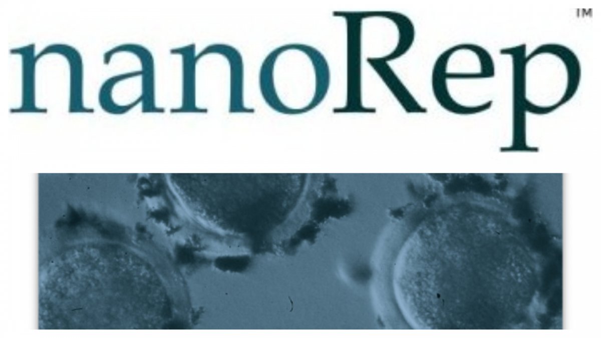 PLAZA PÚBLICA. Talento emprendedor. NANOREP | ORM