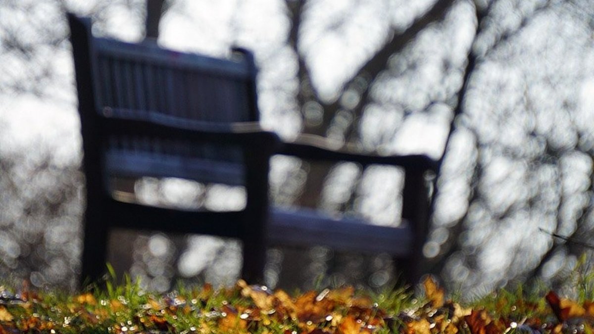 Anatomía de las locuras. La soledad | ORM