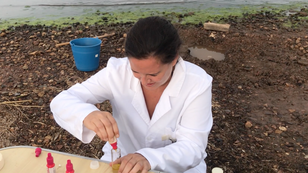 EL MIRADOR. Una estudiante de la UPCT propone crear parques inundables ...