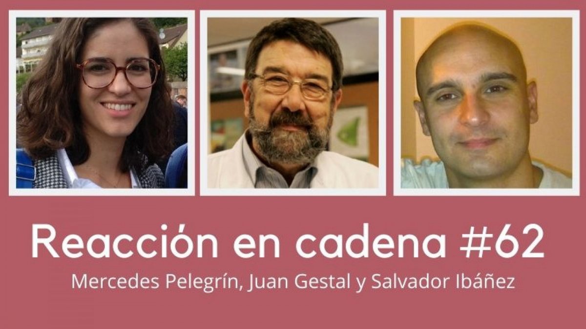 REACCIÓN EN CADENA #62 | ORM