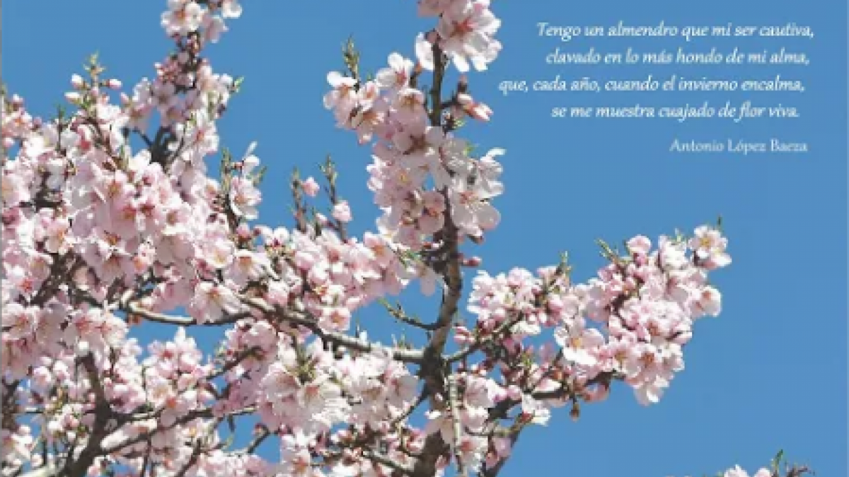 Conociendo Sierra Espuña con Javier Ramírez. Ruta de la floración | ORM