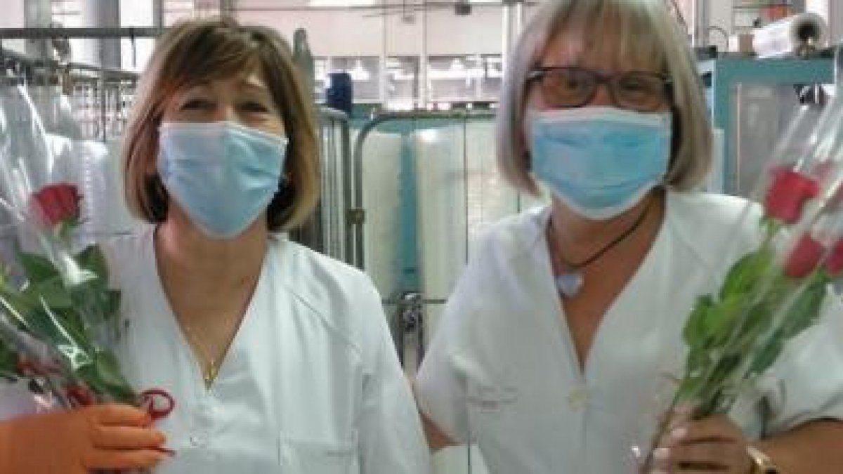 PLAZA PÚBLICA. El floristero Antonio Jiménez regala flores a los ...