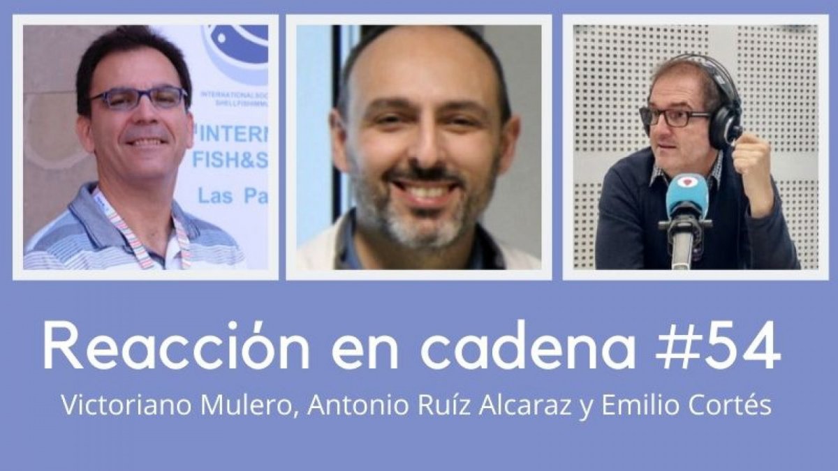 REACCIÓN EN CADENA #54 | ORM