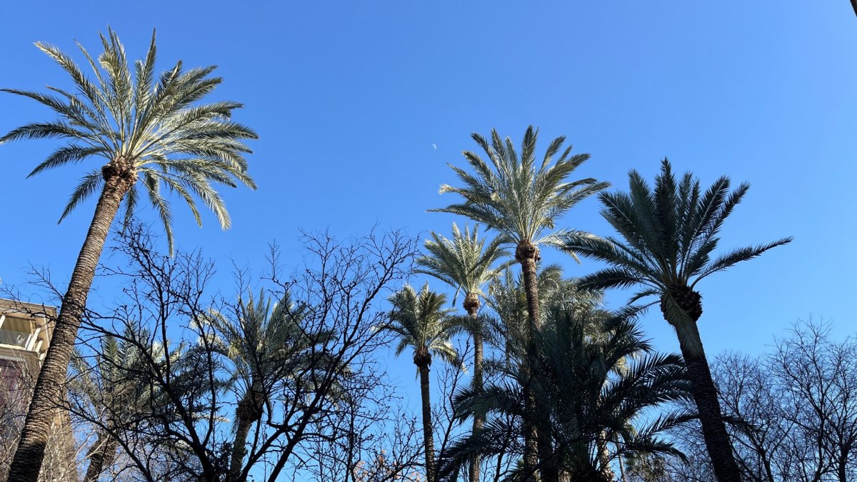 El tiempo en la Región de Murcia: la sequía y el calor marcarán el ...