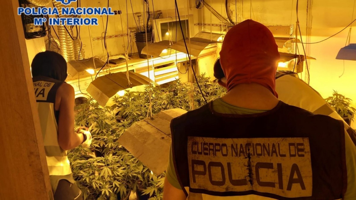 VIDEO | Redada antidroga en el barrio murciano de La Paz | ORM