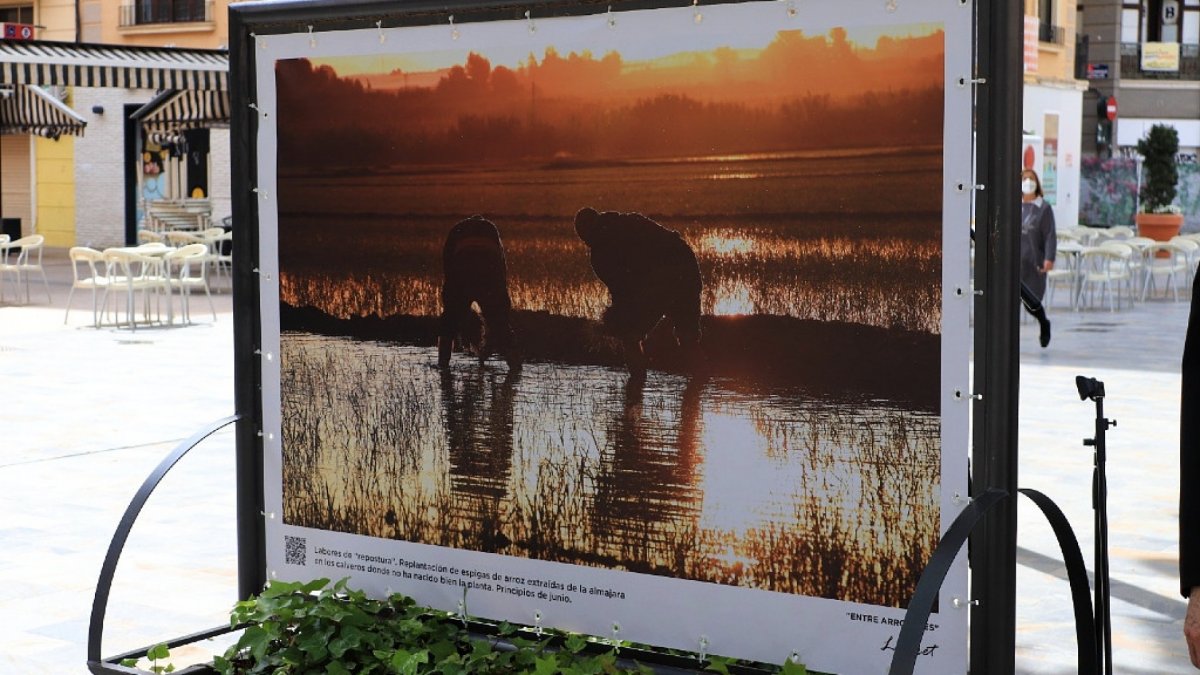 TARDE ABIERTA. Un paseo por los arrozales de Calasparra en pleno centro de la ciudad de Murcia | ORM