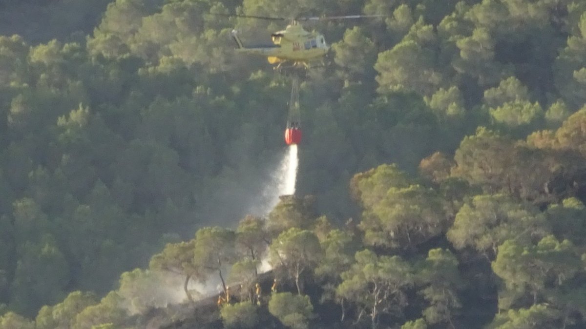 La rapidez y la intensidad en los medios fue crucial para atajar el ...