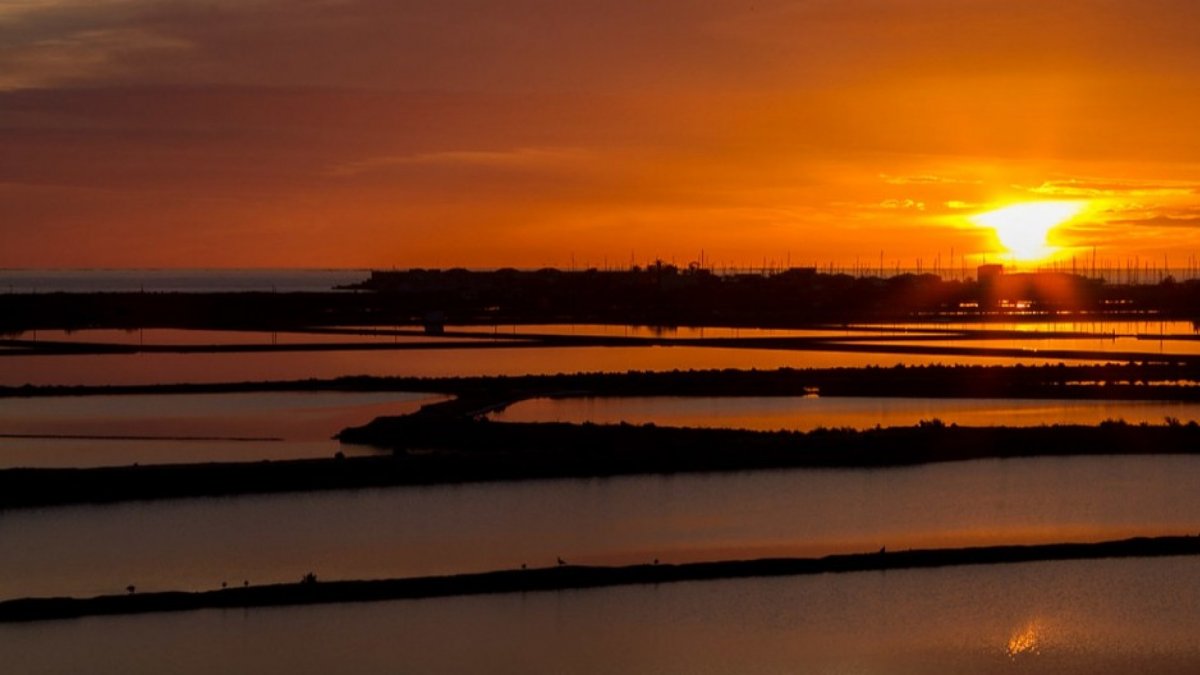 TARDE ABIERTA (23/09/2022) | ORM