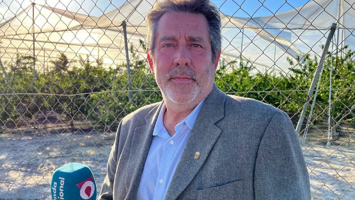 TARDE ABIERTA T03C160 | ORM