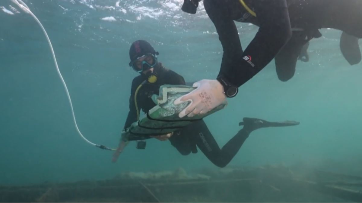 Extraído el primer fragmento del pecio fenicio Mazarrón II | ORM